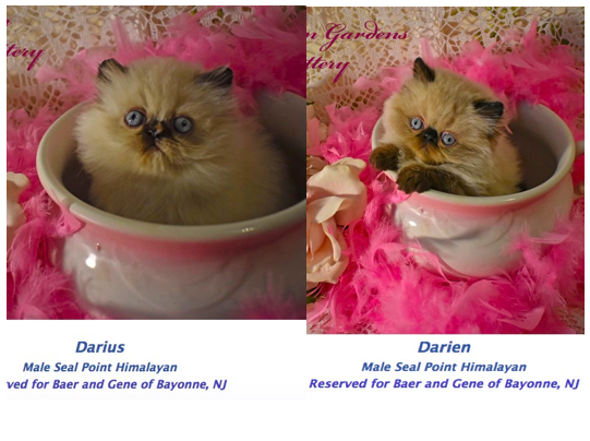 SOMETIMES QUIET IS GOOD – Baer Hanusz-Rajkowski – bipolarelysium.com